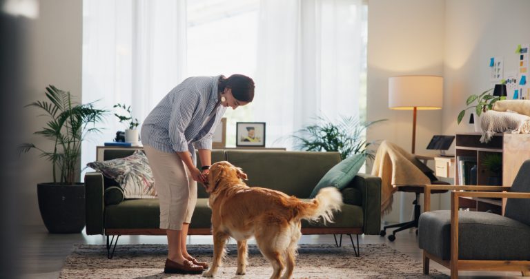 Top Home Design Trends to Know in 2026 - Carlene Sandstrom